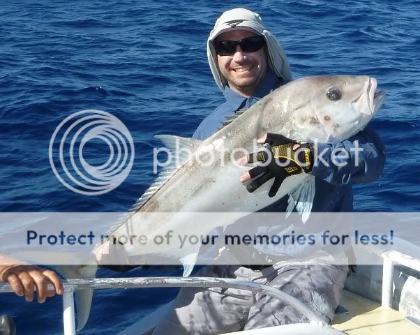 Awsome Day Sambo Fishing - Part 3 Photos | Fishing - Fishwrecked.com ...