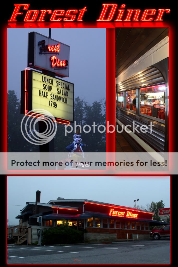 FAREWELL TO THE FOREST DINER | neondreamscapes