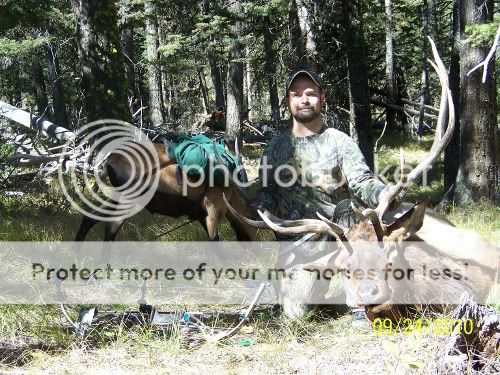Pack Goats | Page 4 | Long Range Hunting Forum – Expert Gear Reviews ...