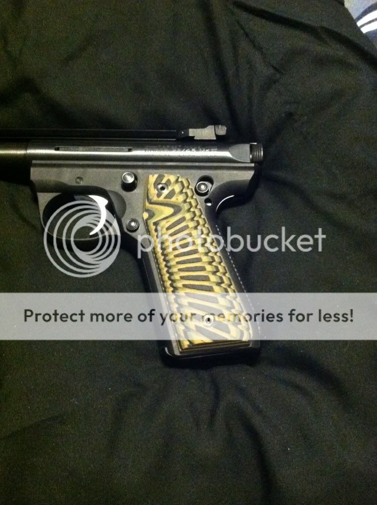 Amazing New Grips! | Rimfire Central Firearm Forum