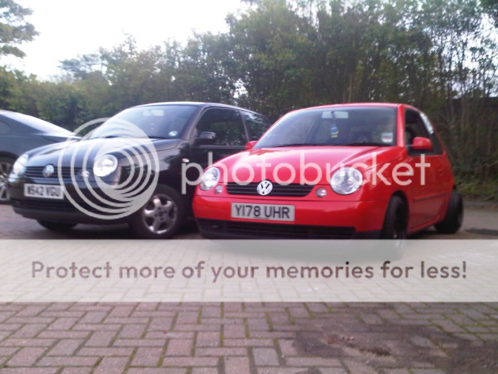 My Red lupo on wellers, coilovers and shims before and after ...