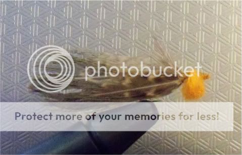 Fry patterns | Washington Fly Fishing Forum