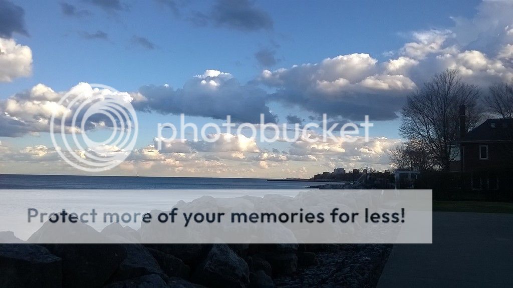 Crisp Spring Morning | Poodle Forum